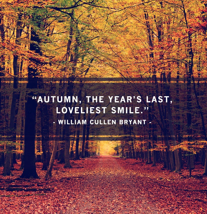 Fall into Fall – peculiarpearl